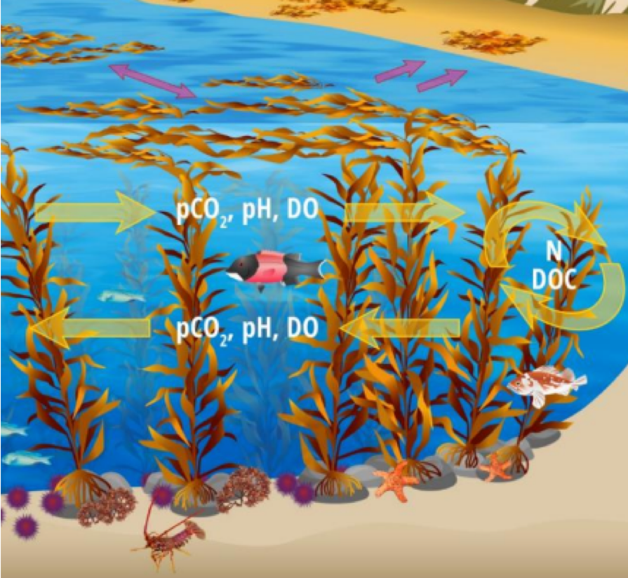 nutrients | Southern California Coastal Ocean Observing System