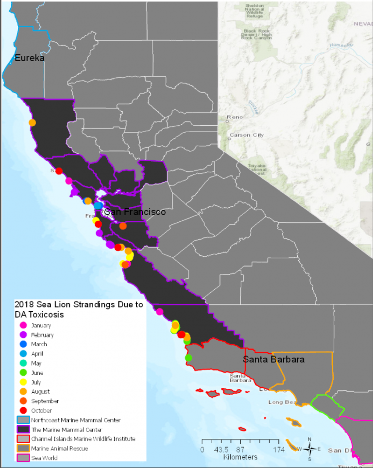 TMMC_Map_Regions_Plot | Southern California Coastal Ocean Observing System