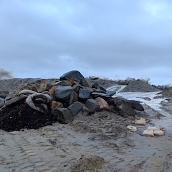 berm | Southern California Coastal Ocean Observing System