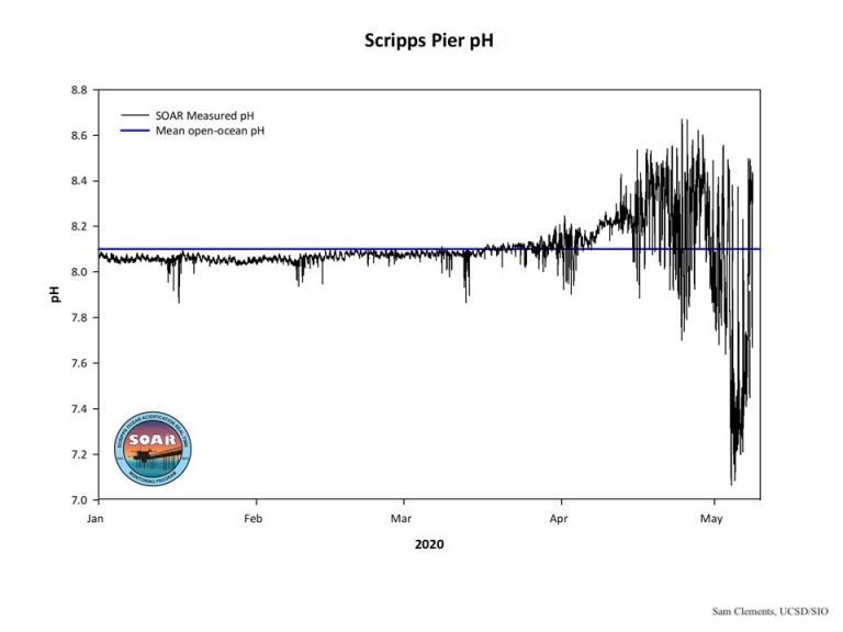 Red Tide Bulletin: Spring 2020 | Southern California Coastal Ocean ...